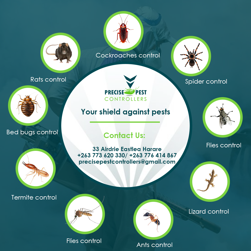 Home [precisepestcontrollers.co.zw]